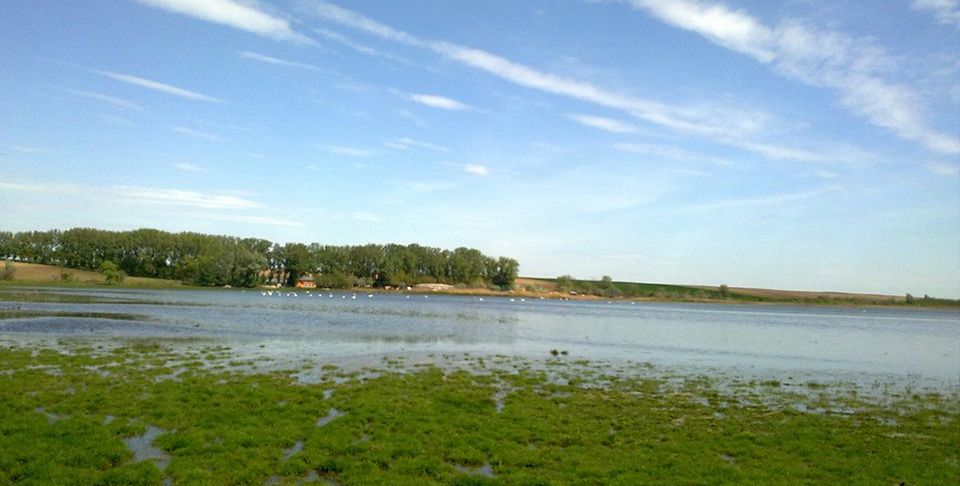Balta Albă - lacul vindecător din județul Buzău
